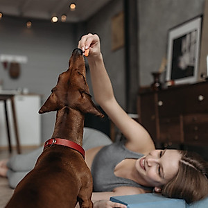 Pawmate Sweet Potato Dog Treats, Healthy Low Fat Dog Chews Rawhide Free Grain Free Training Treats for Small Medium Large Dogs 27-31 Counts