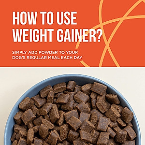PET Care Science 8 lbs of Dog Weight Gainer - Weight Gain Supplements for Dogs - Canine and Dog Muscle Builder - Dog Protein Powder - High Calorie Dog Food Supplement