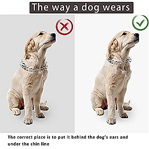 Dog Prong Collar,Choke Collar for Dogs Pinch Training Collar,Detachable Adjustable Choke Collar with Comfort Rubber Tips, Metal Adjustable Large Middle Dog Pet Pinch Collar