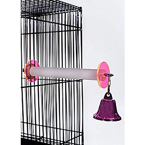 The Acro Perch with Acrylic Washer & Bell by Feathered Phonics - Medium 6" x ¾