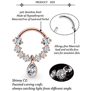 Vsnnsns 16G Septum Jewelry Septum Ring Piercing Jewelry Septum Clicker Ring and Horseshoe Barbell Stainless Steel Septum Nose Rings Hoop for Men Women Rose Gold 10mm 12pcs