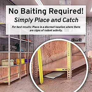 Victor M776 Hold-Fast Rat Refillable Mouse Glue Trap, 1 Pack, White