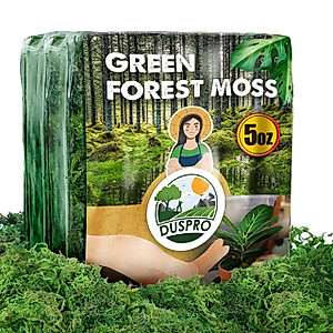 DUSPRO Green Moss for Crafts, Artificial Moss for Potted Plants, Decorative Moss for Table Centerpieces Wedding Christmas Fairy Party Decor, Faux Moss for Indoor Planters, DIY Project 140gr