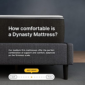 DynastyMattress King Mattress 14.5” Inch CoolBreeze Plush Medium-Soft Gel Memory Foam Mattress Bed, King Size 60x80 (USA Made)