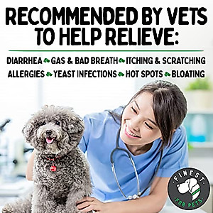 TummyWorks Probiotic Soft Chews for Dogs. Probiotics for Gut Flora, Digestive Health, Immune Support, Diarrhea, Itching & Seasonal Allergies. with Digestive Enzymes & Prebiotics. Made in USA 120ct