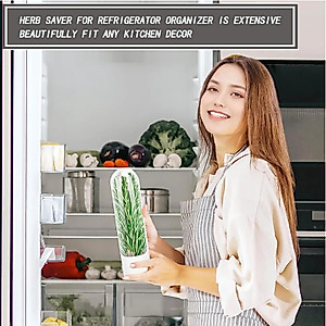 Herb Saver, Herb Keeper for Refrigerator, Cilantro Containers for Refrigerator, Herb Saver Pod, Fresh Herb Keeper for Cilantro, Parsley, Asparagus, Keeps Vegetables for 2-3 Weeks (3PCS Herb Saver)