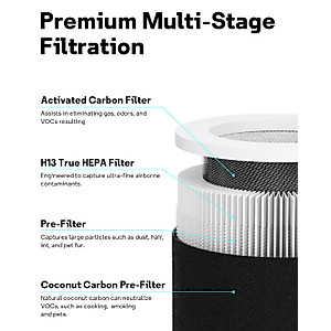 Leemone H-HF400-VP True HEPA Filter Replacement Kit with H-PF400 Pre-Filter Compatible with Hunter HP400 Air Puri-fier Series (2 HEPA Filter & 8 Pre-Filters)