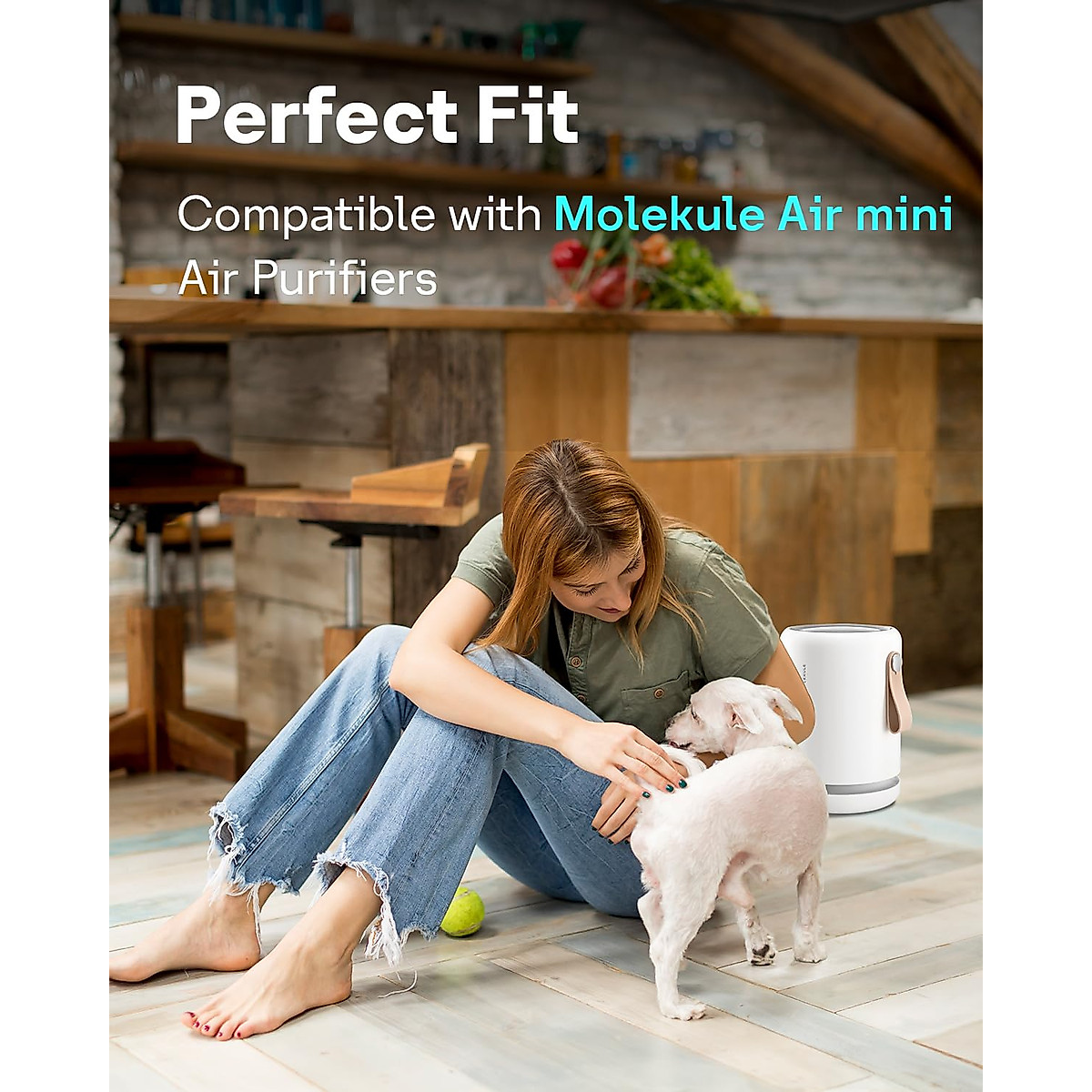 Leemone H13 True Air Mini Filter Replacements Compatible with Molekule Air Mini & Air Mini + Air Purifiers, 3-in-1 High-Efficiency True HEPA Replacement Filter, 2 Pack