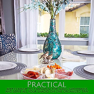 PLASTICPRO 6 Sectional Round Plastic Serving Tray/Platters Clear Pack of 2