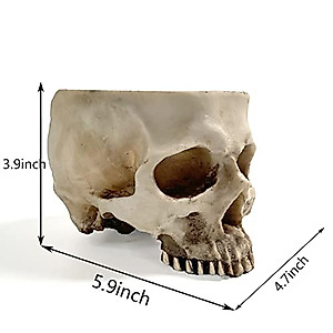 RMM Halloween Decoration Retro Human Skull Head Flower Pot Planter Bed Box Container Replica Home Bar Décor,Clear
