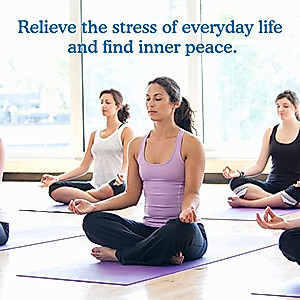 Garden of Life Stress Relief Gummies, Non-GMO Supplement for Calm & Positive Mood - Berry Citrus - 60 Count, Vegan Energy Support with L-Theanine Lavender Gummy Vitamin, Dr Formulated (30 Day Supply)