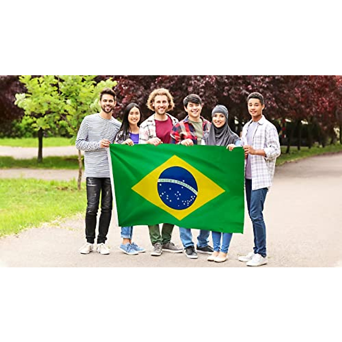 DANF Brazil Flag 3x5 Ft Thick Polyester, Fade Resistant, Brass Grommets, Canvas Header Brazilian National Flags 3 X 5 Feet