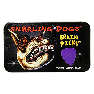 D'Andrea Snarling Dog Brain Nylon Guitar Picks 12 Pack with Tin Box (Purple, 0.60mm)
