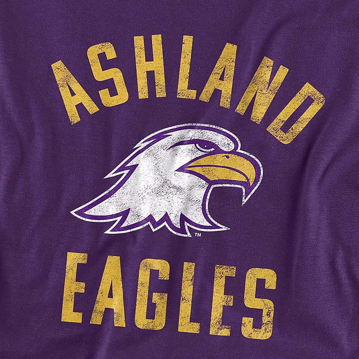 Ashland University Official Ashland Eagles Logo Unisex Adult T-Shirt, Ashland Eagles Logo, Large