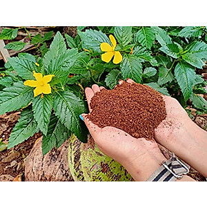 Fjiro Coco | Premium 100% Organic Coconut Coir with Low EC & pH Potting Substrate Soil for Plants | Brick 1.4 lbs