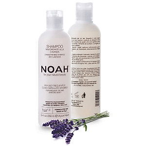 Noah Hair – 1.3 Shampoo with Lavender and 2.1 Nourishing Conditioner with Mango Set – Hair Care for Natural Beauty - 8.5 fl.oz (250 ml) Each