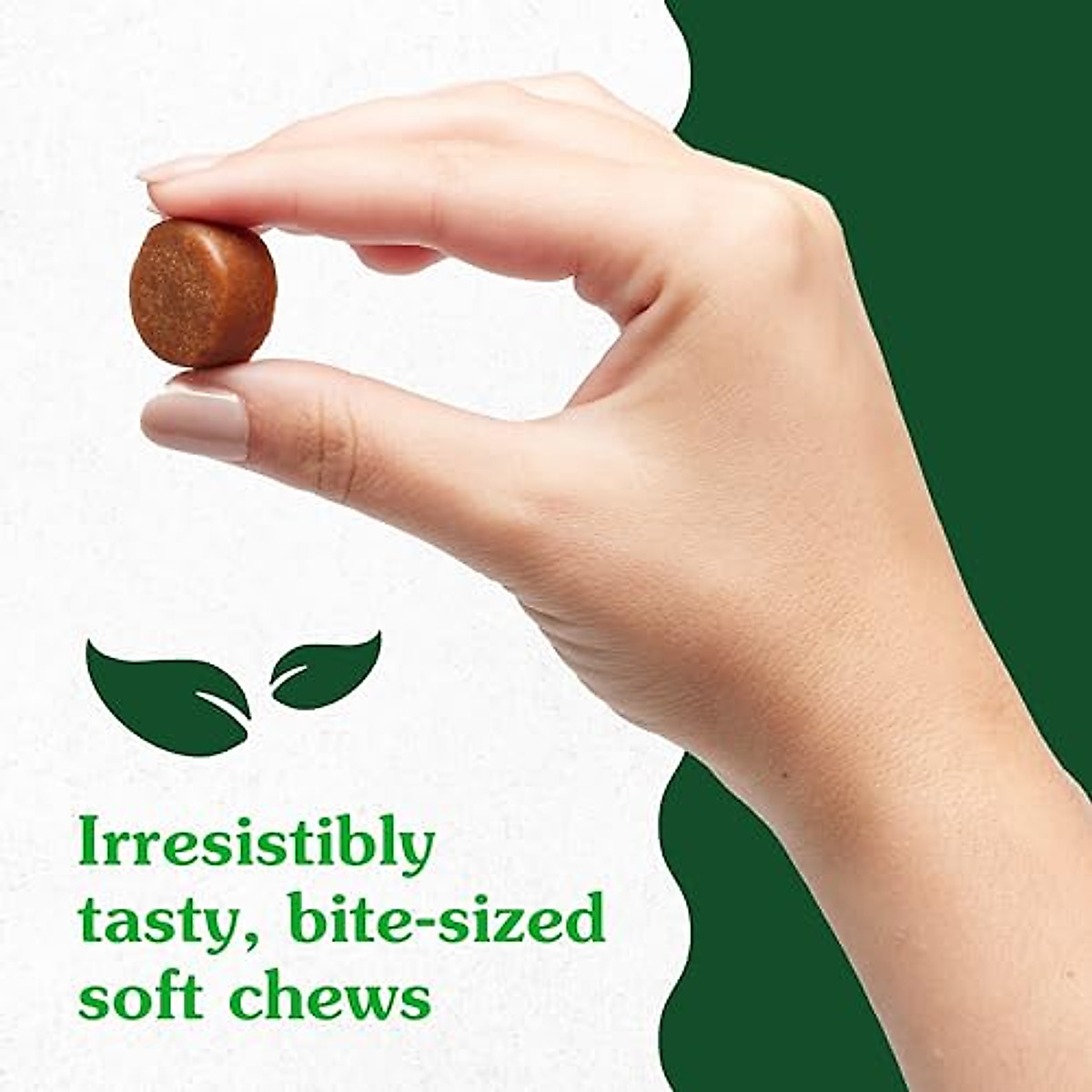 Greenies Supplements Hip and Joint Supplements for Dogs, Chicken Flavor, 30 Count Soft Chews Dog Joint Supplements, 6.08 oz.