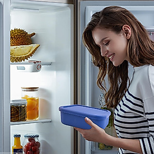 BUWUSMU 4 Pcs 2 Cup Silicone Freezer Trays with Lid Silicone Soup Freezer Molds Rectangle Soup Freezer Containers Reusable Food Preserving Tray Freezing Ice Trays for Soups Sauces Stews Curries(Blue)