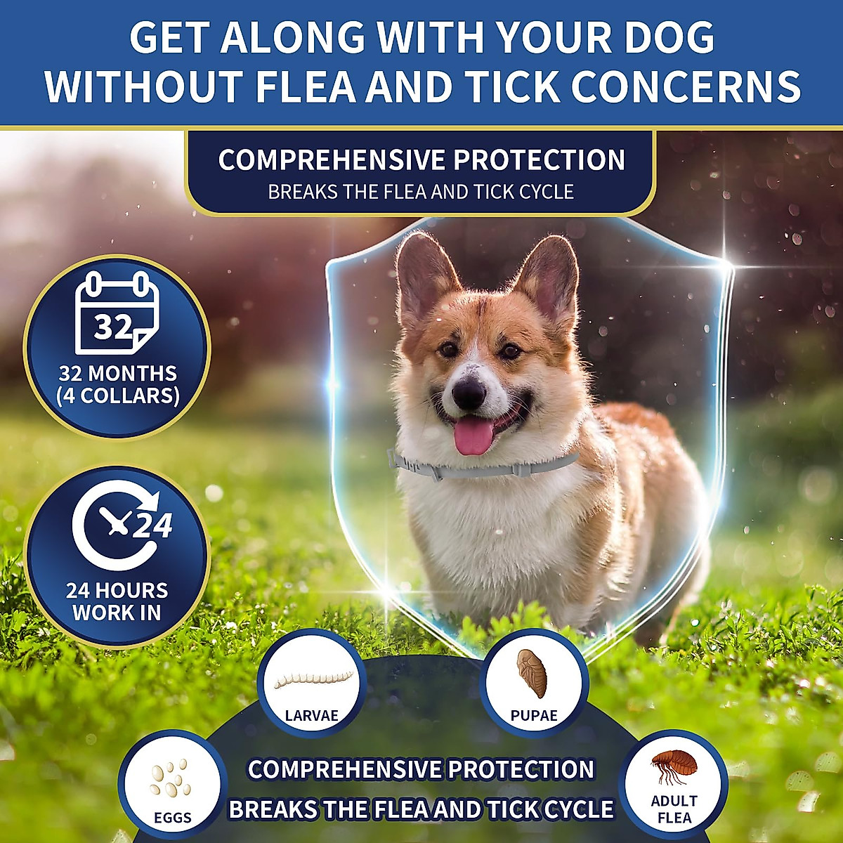 4 Pack Flea Collar for Dogs, 8 Months Flea and Tick Collar for Dogs Puppies, Flea and Tick Prevention for Dogs, Adjustable Waterproof Dog Flea Collar, Dog Flea Tick Treatment-Black Blue Pink Orange