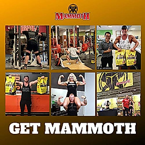 MAMMOTH MASS: Weight Gainer, High Calorie Protein Powder Workout Smoothie Shake, Meal Replacement, Low Sugar, Whey Isolate Concentrate, Casein Protein Blend, Weight Training, High Protein (Chocolate, 5lb)