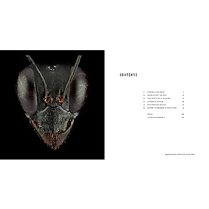 Ants: Workers of the World