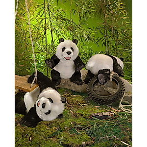 Giant Panda Cub hand puppet, Black, White