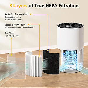 2 Pack H7126 Replacement Filter for GoveeLife H7126 Mini Air Purifier, 3-in-1 H13 True HEPA Air Filter for H7126 Air Purifier Filter for Dust, Pollen, Replace Part #H7126-RF
