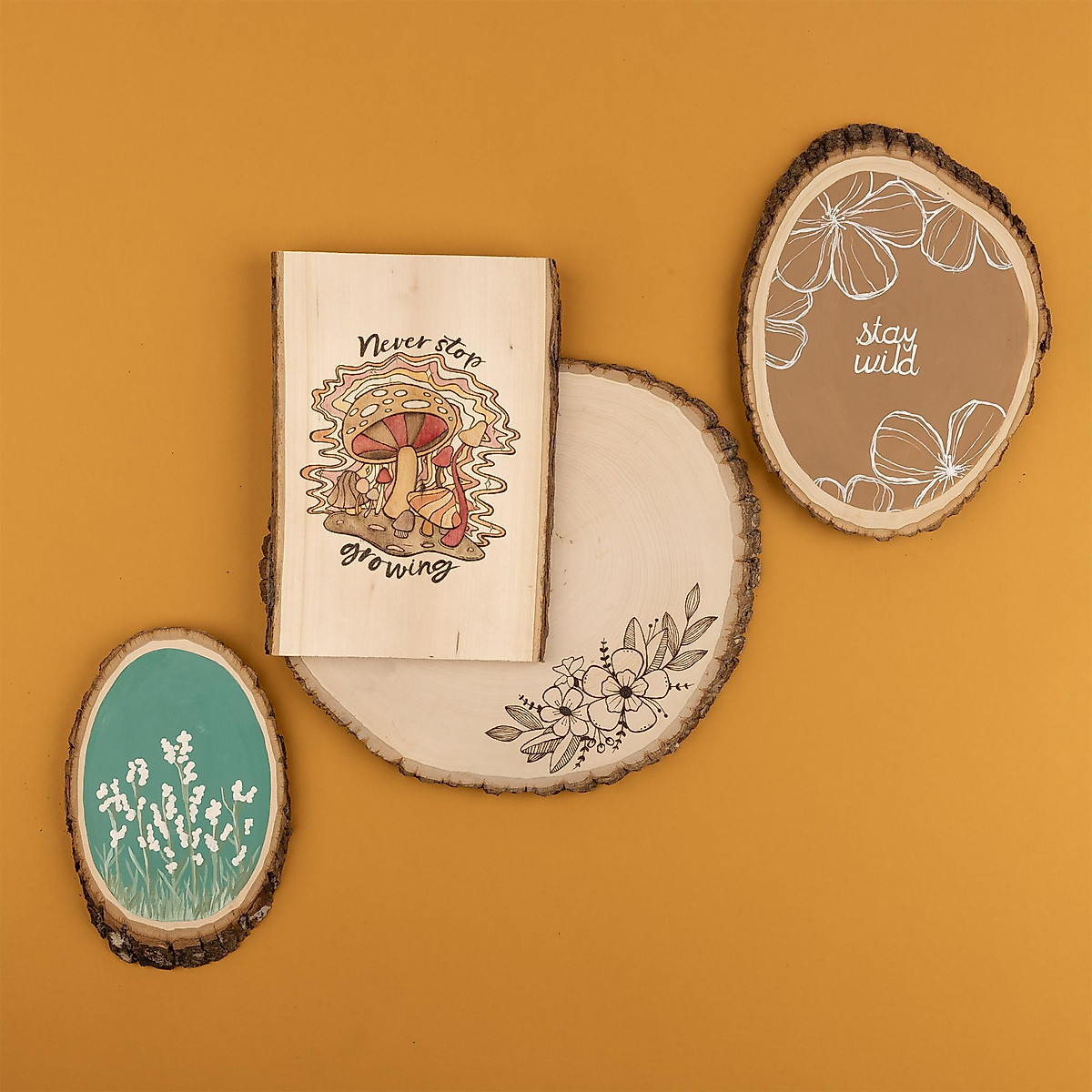 Walnut Hollow Medium Basswood Rustic Round Wood Slices with Live Edge Bark, Bulk Value Pack, 12-Pack