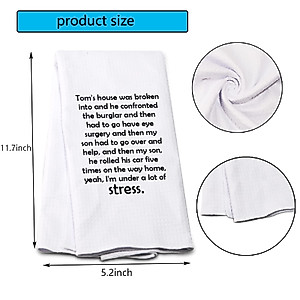 POFULL Housewives Gift Tom's House was Broken Into Kitchen Towel Home Decor (House was Broken into Towel)