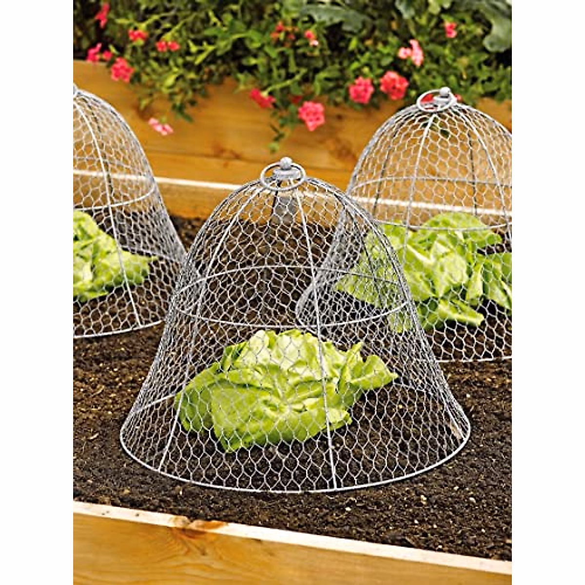 Gardener's Supply Company Sturdy Chicken Wire Cloche Plant Protector & Cover | Sturdy Metal Cage Garden Protection for Your Plants and Seedlings | No Assembly Required - 16" in Diameter x 12-1/2" H