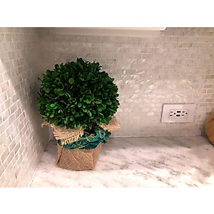 Art3d 10-Piece Mother of Pearl Shell Mosaic Backsplash Tile for Kitchen, Bathroom Walls, Spa Tile, Pool Tile, 12" x 12" White