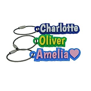 Fun Personalized Water Bottle and Bag Name Tag Whimsy Font, Hard Plastic Luggage Label Custom Nametag