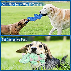 BWOGUE Squeaky Plush Dog Toys 3 Pack, Stuffed Dog Chew Toy with Squeaker and Crinkle Paper, Dog Toy Stuffed Animal for Teeth Cleaning for Small Medium Dogs and Puppy(3 Packs Animals Toys)