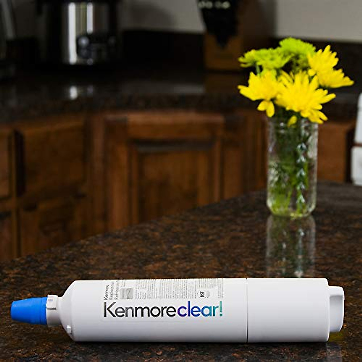 Kenmore 9990 Refrigerator Water Filter, 1 Count (Pack of 1), White