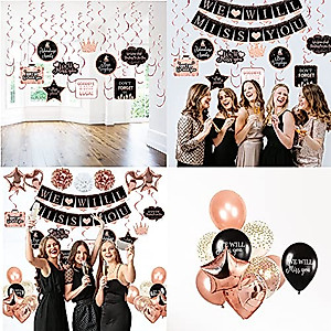 Rose Gold Farewell Party Decorations Supplies Kit, We Will Miss You Decorations, Going Away Party Decorations, Will Miss You Banner, Great for Retirement Farewell Going Away Job Change Party