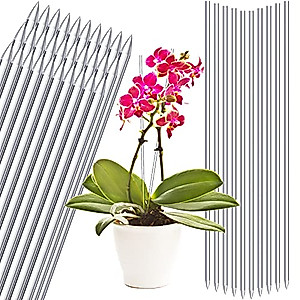 30 Pcs 15.6 Inch Acrylic Plant Stakes Garden Stakes Clear Orchid Stakes Clear Plant Sticks Potted Plant Support Stakes for Supporting Vines Grow Upright
