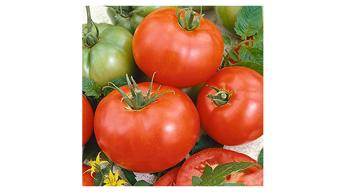 Silvery Fir Tree Tomato Seeds - Heirloom, Non-GMO for Your Garden