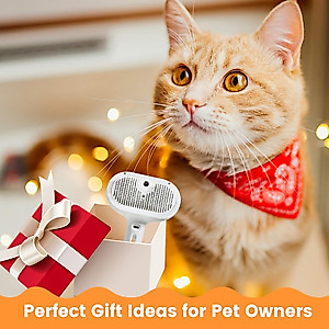 Cat Steam Brush, 3 in 1 Cat Brush for Shedding & Grooming, Water Brush for Cats Dogs, Pet Hair Removal Comb for Long Short Haired Small Animal, Self Cleaning Slicker Brush with Release Button