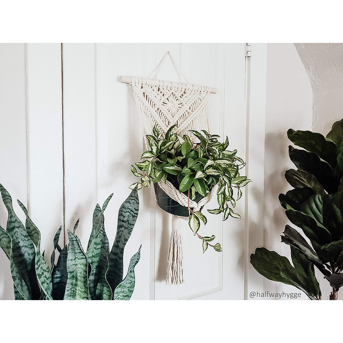 Pennsylvania Woodworks Maple Wooden Dowel Rods - Solid Hardwood Sticks for Crafting, Macrame, DIY & More - White, Unfinished Wood Dowels - Sanded Smooth, Kiln Dried - (3/4" x 12”, 10 Pack)