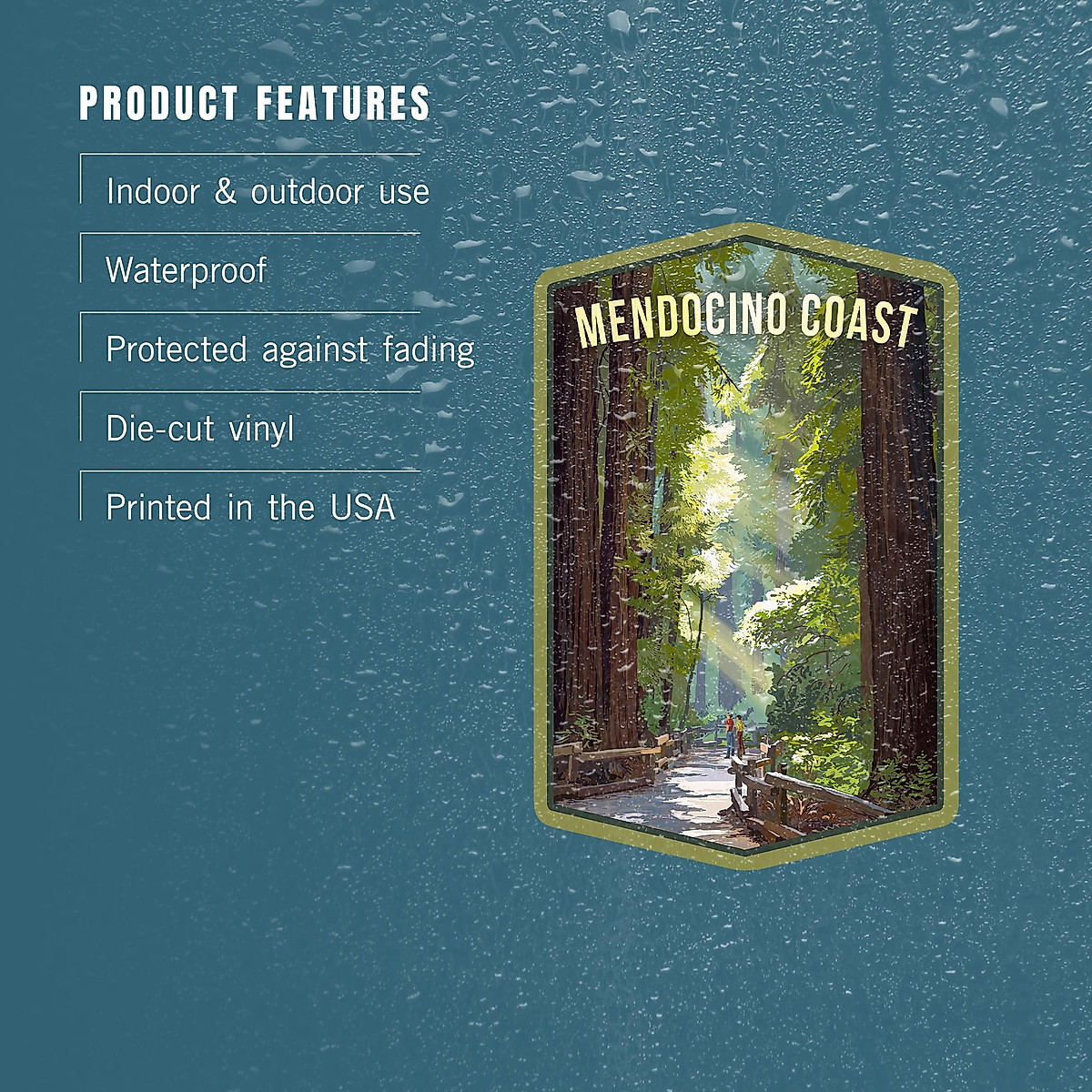 Die Cut Sticker Mendocino, California, Pathways in Redwood Forest, Contour Vinyl Sticker 1 to 3 inches (Waterproof Decal for Cars, Water Bottles, Laptops, Coolers), Small