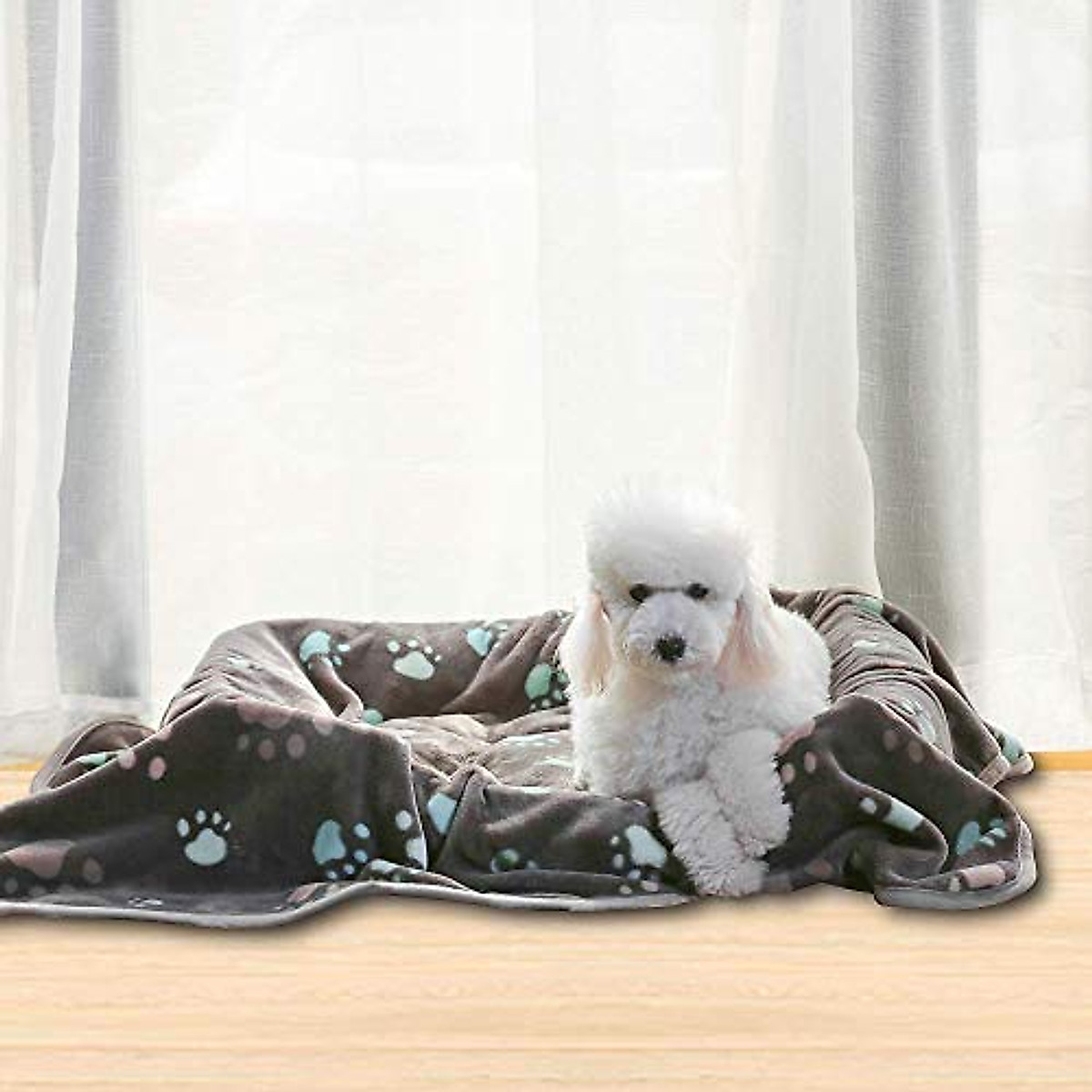 Allisandro 350 GSM-Super Soft and Premium Fuzzy Flannel Fleece Pet Dog Blanket, The Cute Print Design Washable Fluffy Blanket for Puppy Cat Kitten Indoor or Outdoor, Grey, 40 x 32 Inches