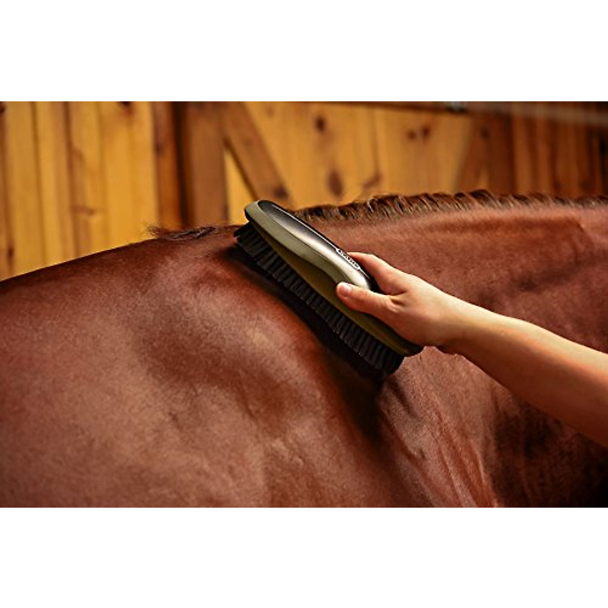 WAHL Professional Animal Equine Grooming Stiff Body Horse Brush, Black (858705)