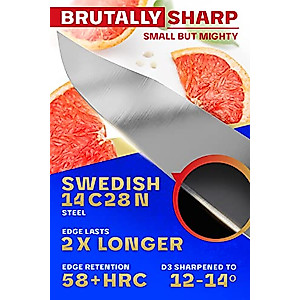 Dalstrong Paring Knife - 3.5 inch - Centurion Series - Swedish 14C28N High - Carbon Stainless Steel Kitchen Knife - G10 Handle - Fruit, Vegetable, Meat - Cooking Chef's Knife - w/Sheath
