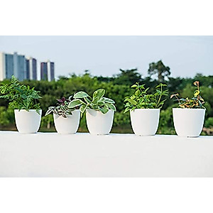 Mkono 4.5" Plastic Succulent Planters with Saucers, Indoor Set of 5 Nursery Pots Modern Flower Plant Pot with Drainage for All Small House Plants, Herbs, Foliage Plant, and Seedling, Cream White