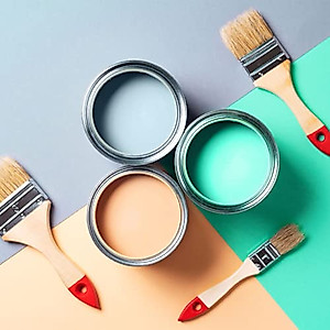 Bonsicoky 8 Pcs Empty Metal Paint Cans with Lids, Tiny Empty Unlined Cans Storage Containers for Paint(0.5 Pint/250ml)