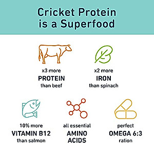 Jiminy's Original Cricket Cookie Dog Treat, Hypoallergenic, 5oz, Peanut Butter & Pumpkin (Pack of 1)