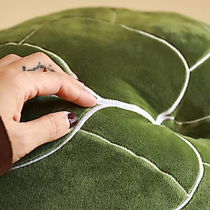 ABOUND LIFESTYLE 3D Succulent Throw Pillow, Cactus Plush, Flower Plant Shaped Cushion for Living Room Decor, Novelty Plush Decorations, Bedroom and Living Room Accent (Anthurium Clarinervium Green)