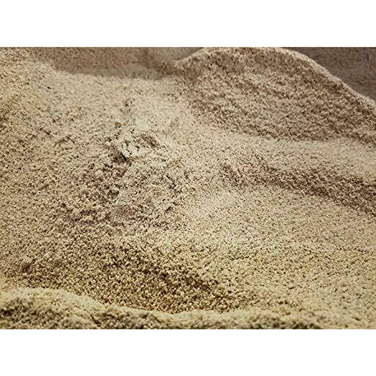 Poverty Bay White Tornado White Coffee Beans 1lb Bag Light Roast Coffee