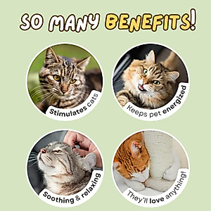 Kitty Joy Herbal Cat Joy, Cat Cupid Spray, Cuddles and Meow Cat Cupid Spray, Cat Cupid Spray Joy Cat, Celery Pets Herbal Cat Joy, Indoor Cat Training Spray with Catnip, Anti Scratch Cat Spray (3PCS)