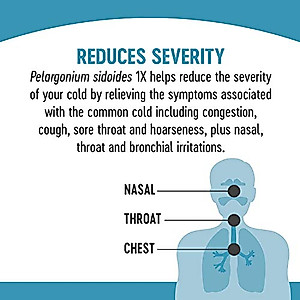 Nature's Way Umcka ColdCare Day + Night, Soothing Hot Drink Mixes, Lemon & Honey Flavors, 12 Packets